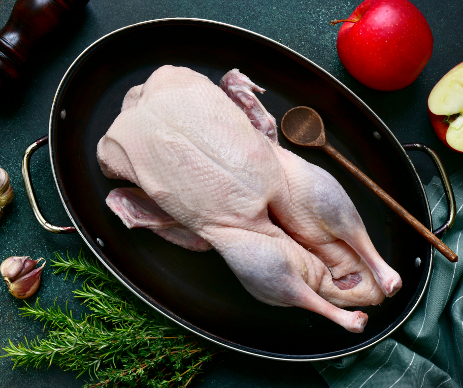 Pastured Duck – Wholesome Pastures